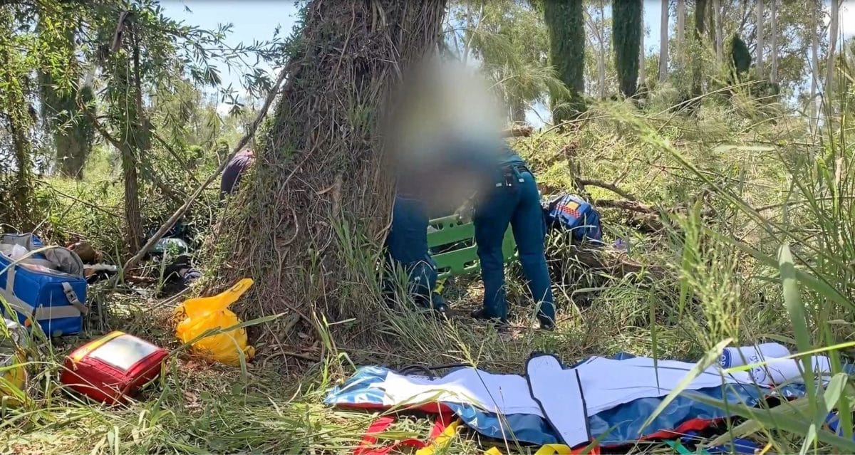 Sight loss following tree-surgery fall | Spectrum